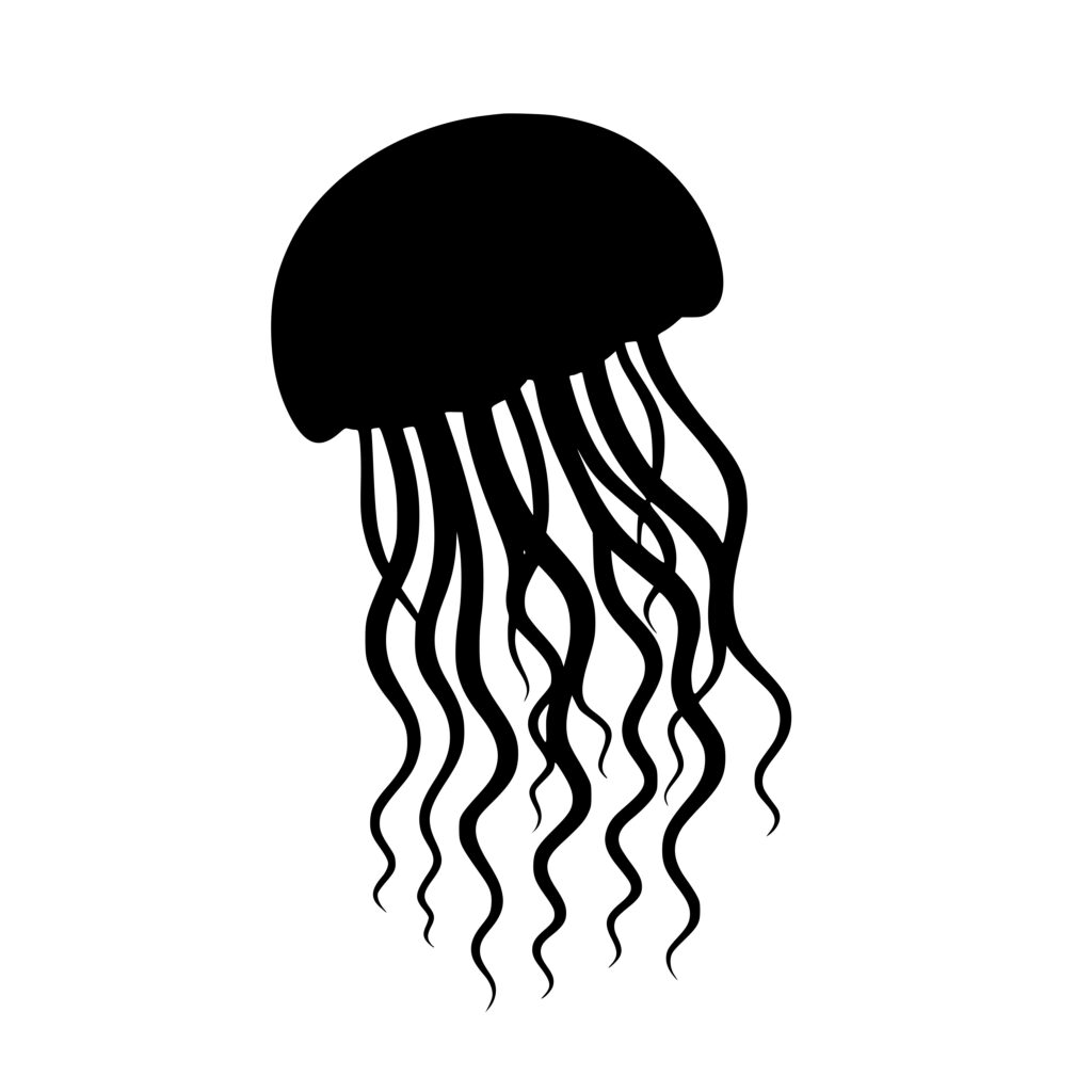 Ocean Jellyfish – Creative Meadow