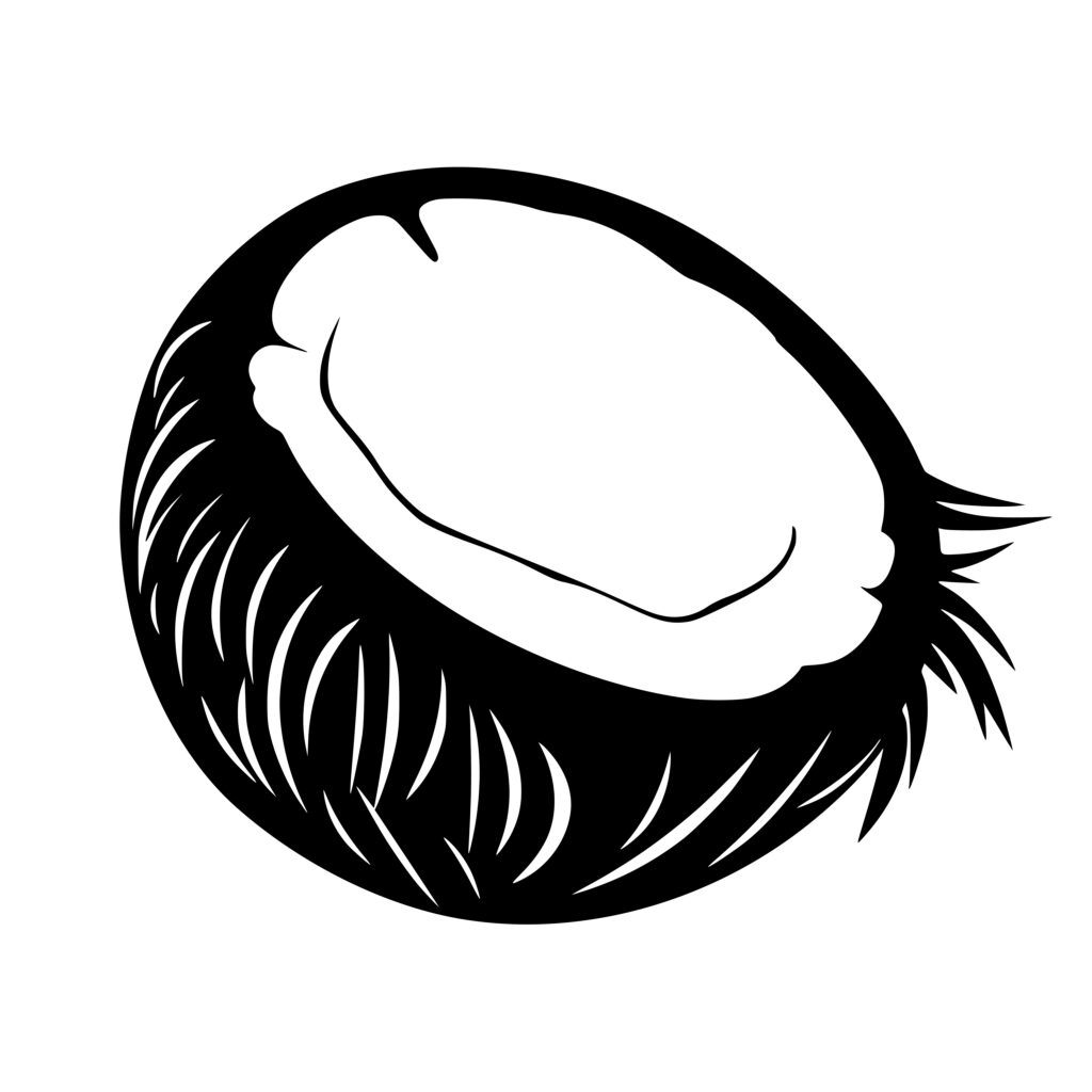 Coconut – Creative Meadow