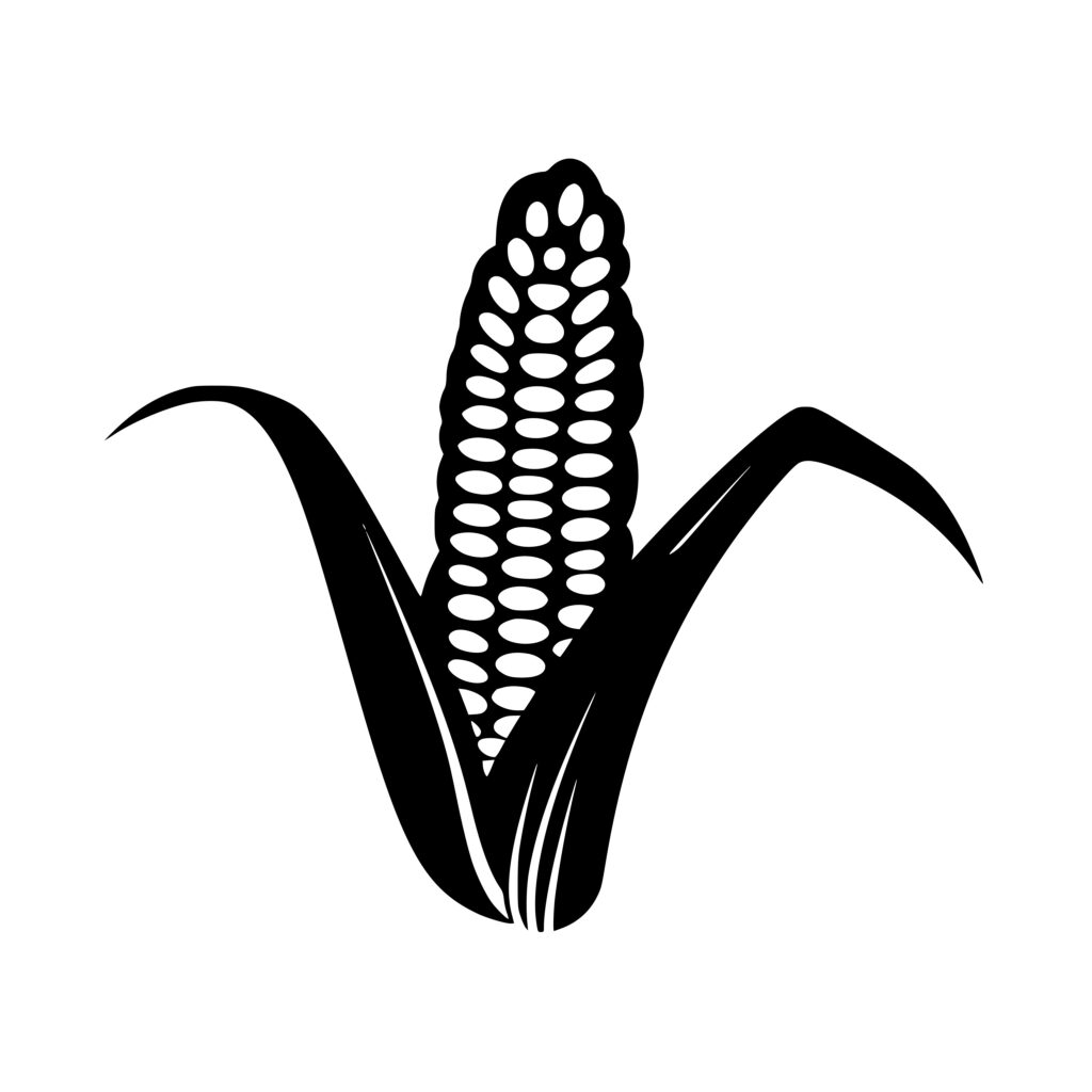 Delicious Corn – Creative Meadow