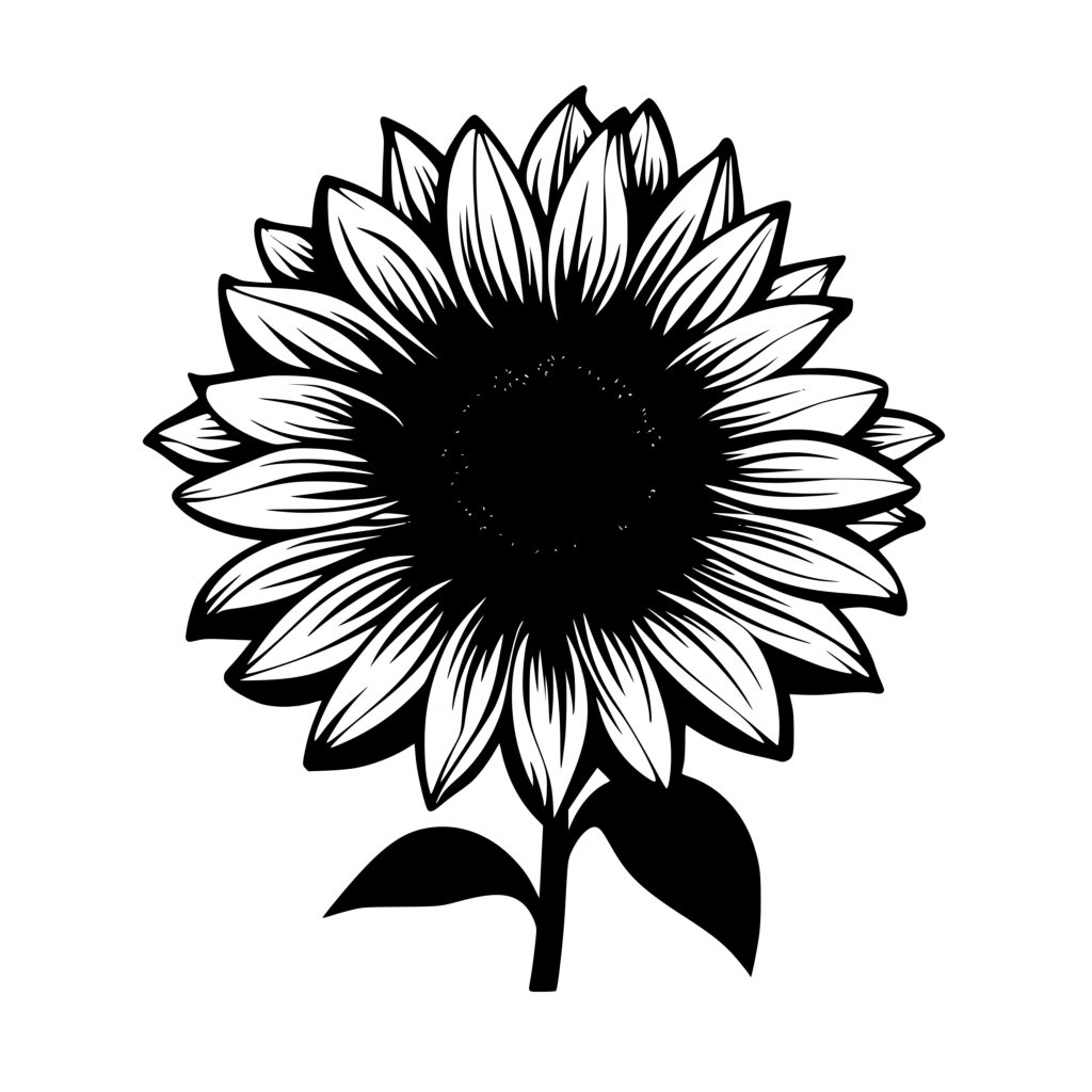 Detailed Sunflower – Creative Meadow