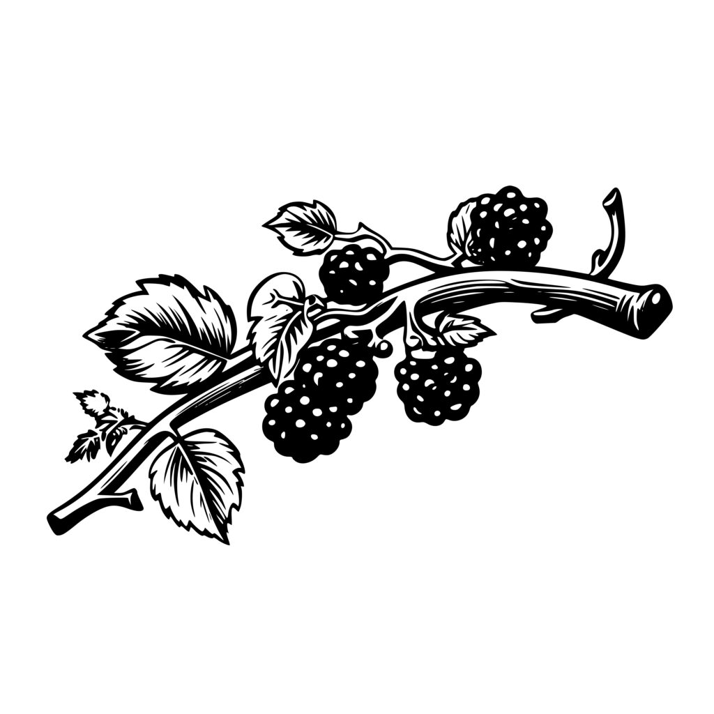 Berry Branch – Creative Meadow