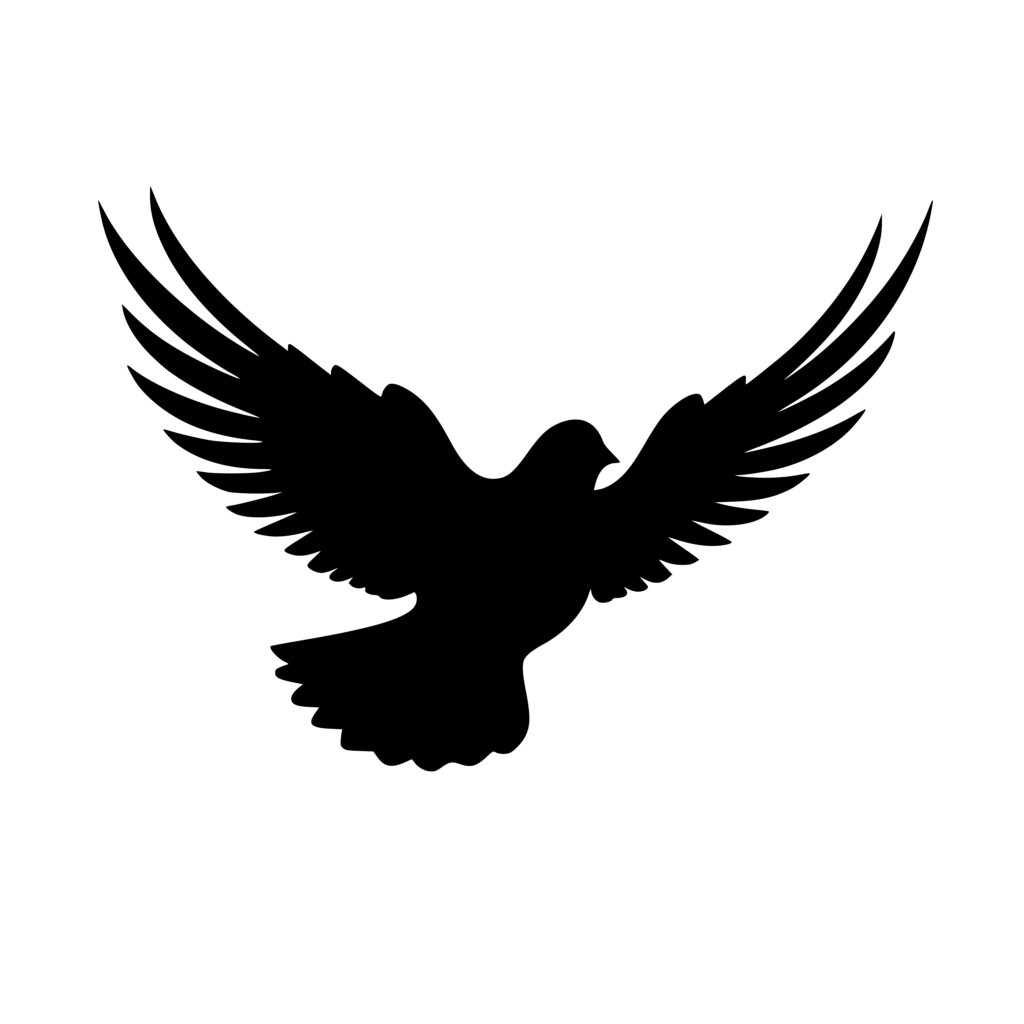 Peace Dove – Creative Meadow