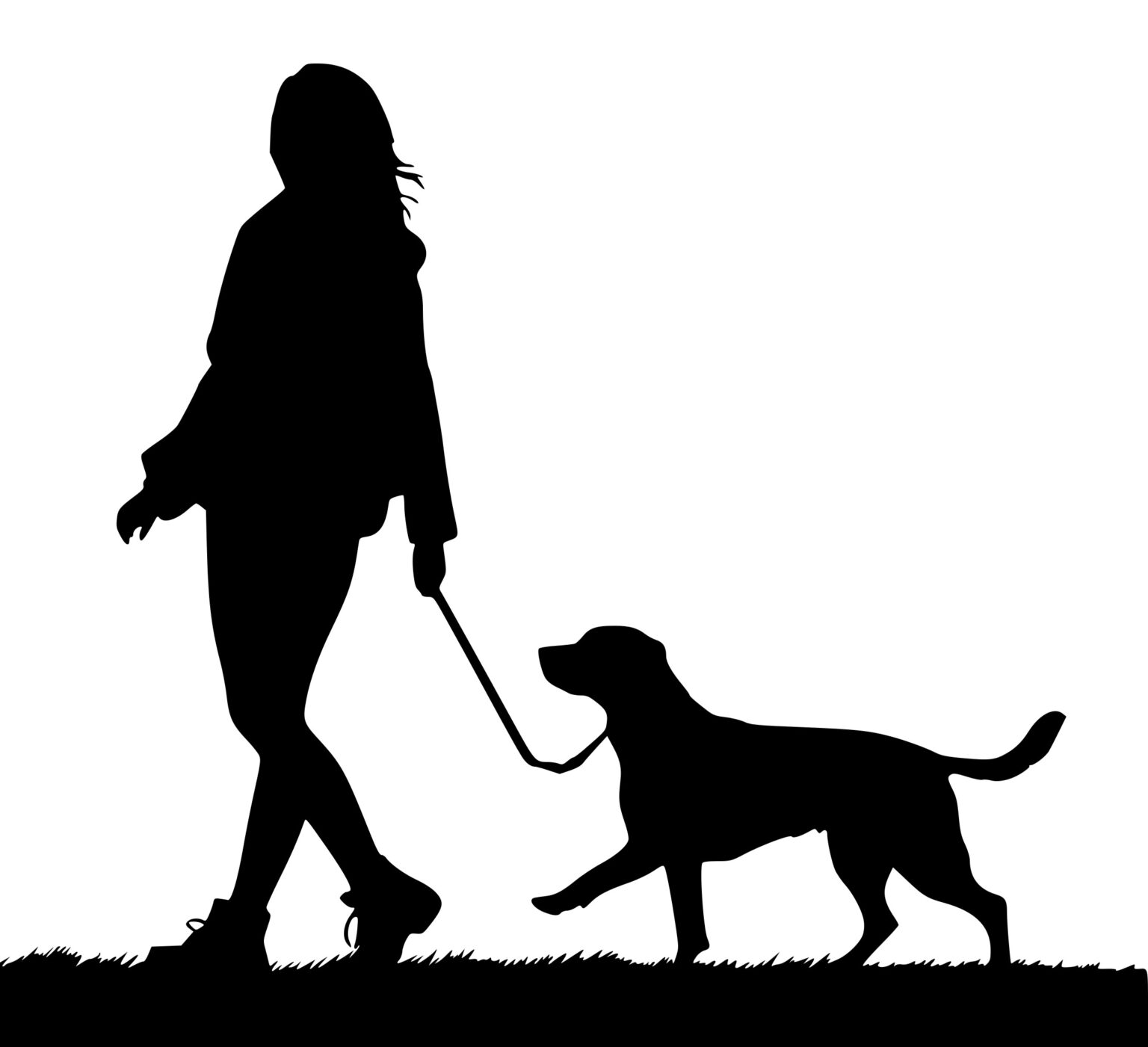 Dog Walk Stroll – Creative Meadow