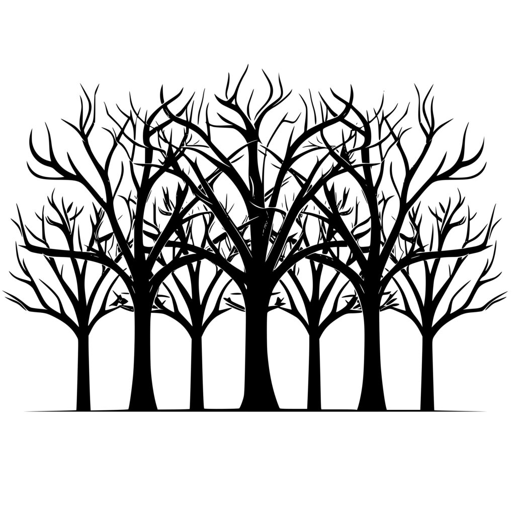 Spooky Forest – Creative Meadow