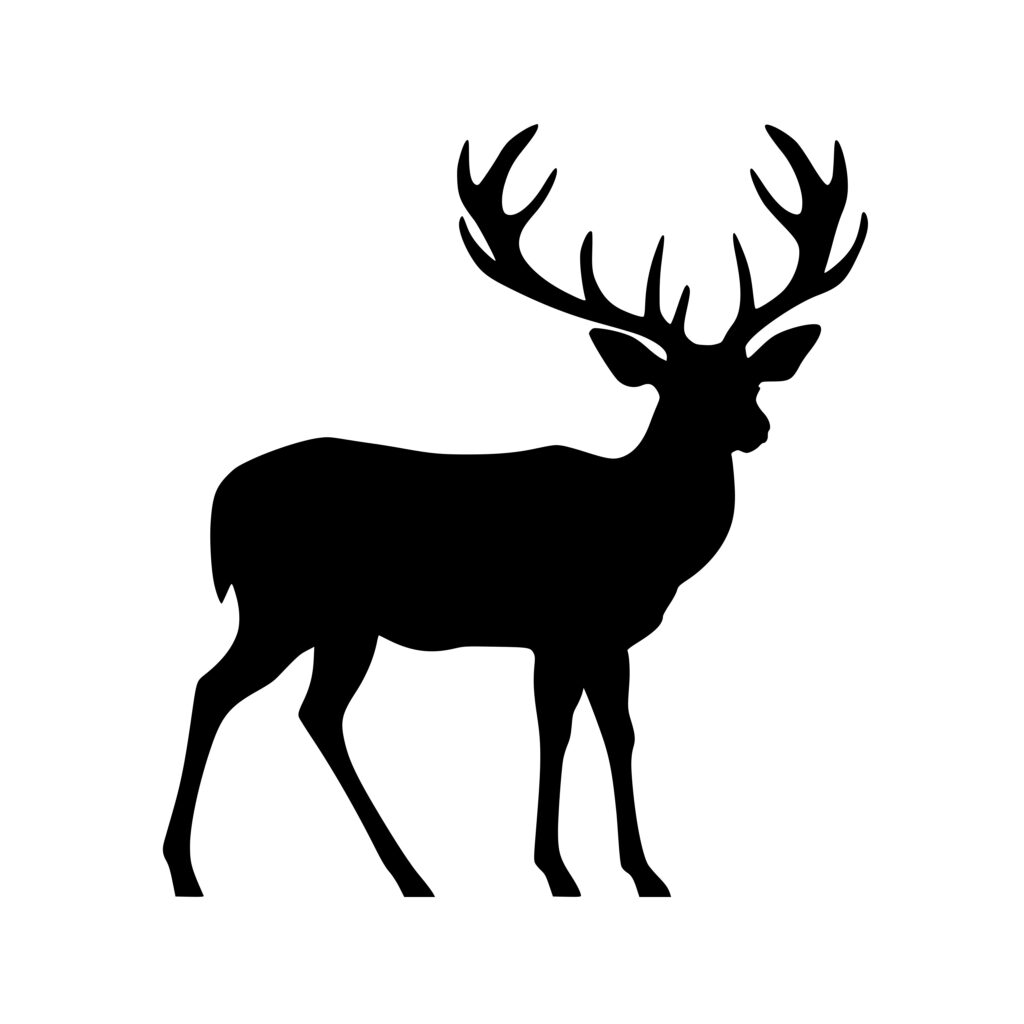 Simple Stag – Creative Meadow