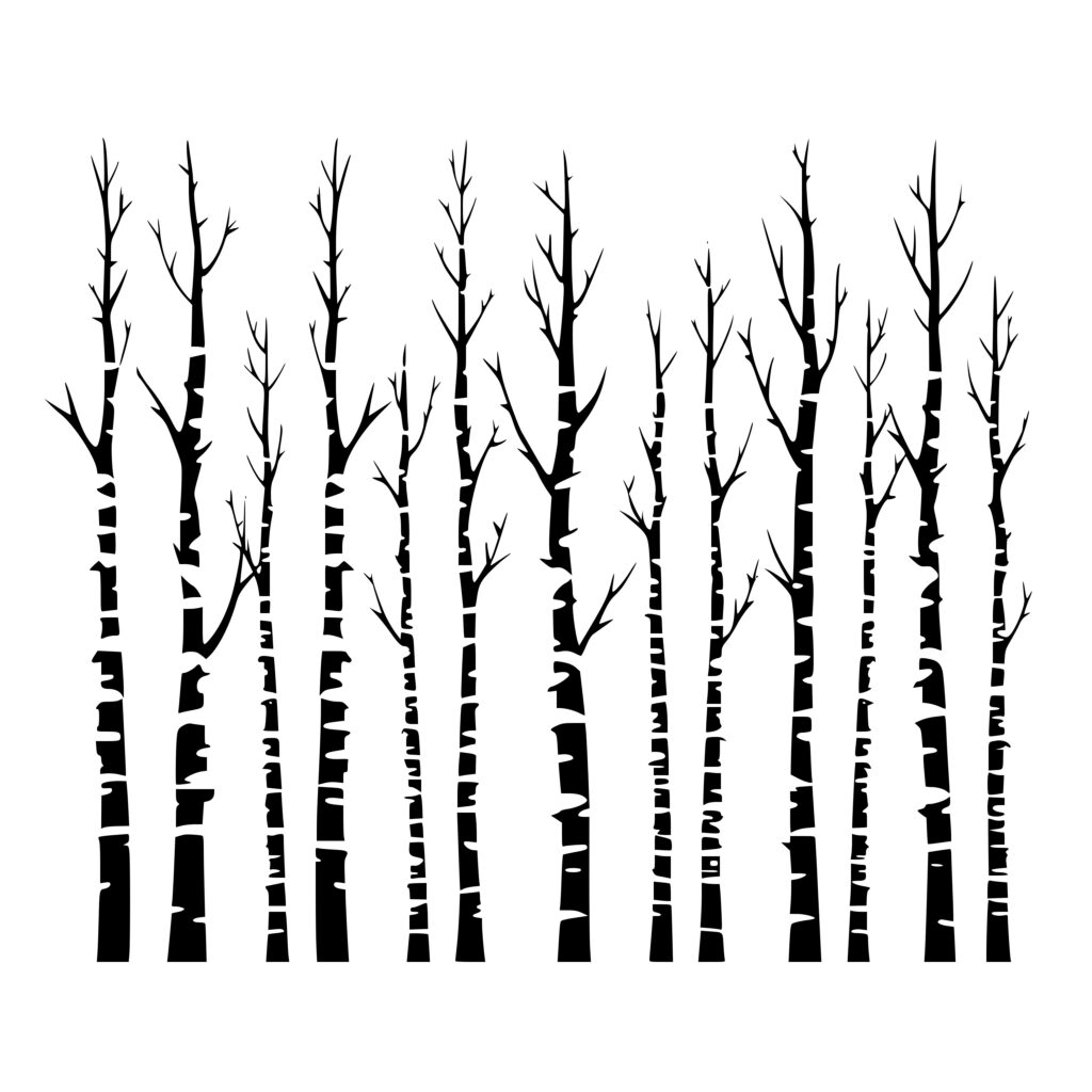 Bare Winter Trees – Creative Meadow