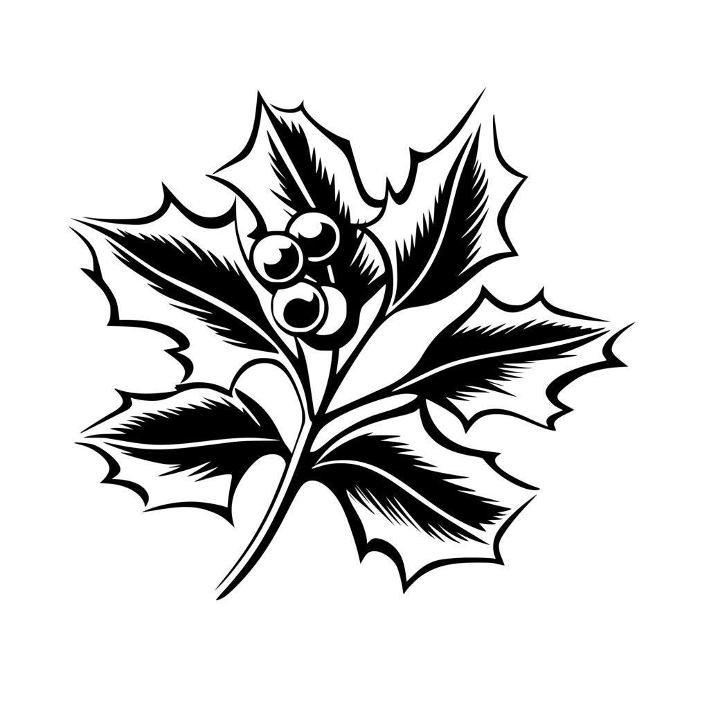 Festive Holly SVG/PNG/DXF Instant Download for Cricut, Silhouette ...