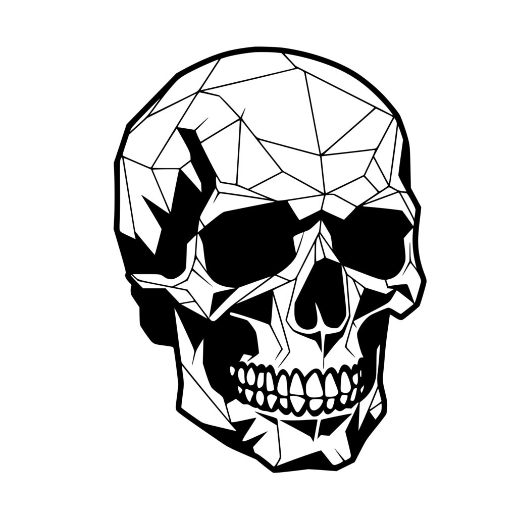 Skull Illusion – Creative Meadow