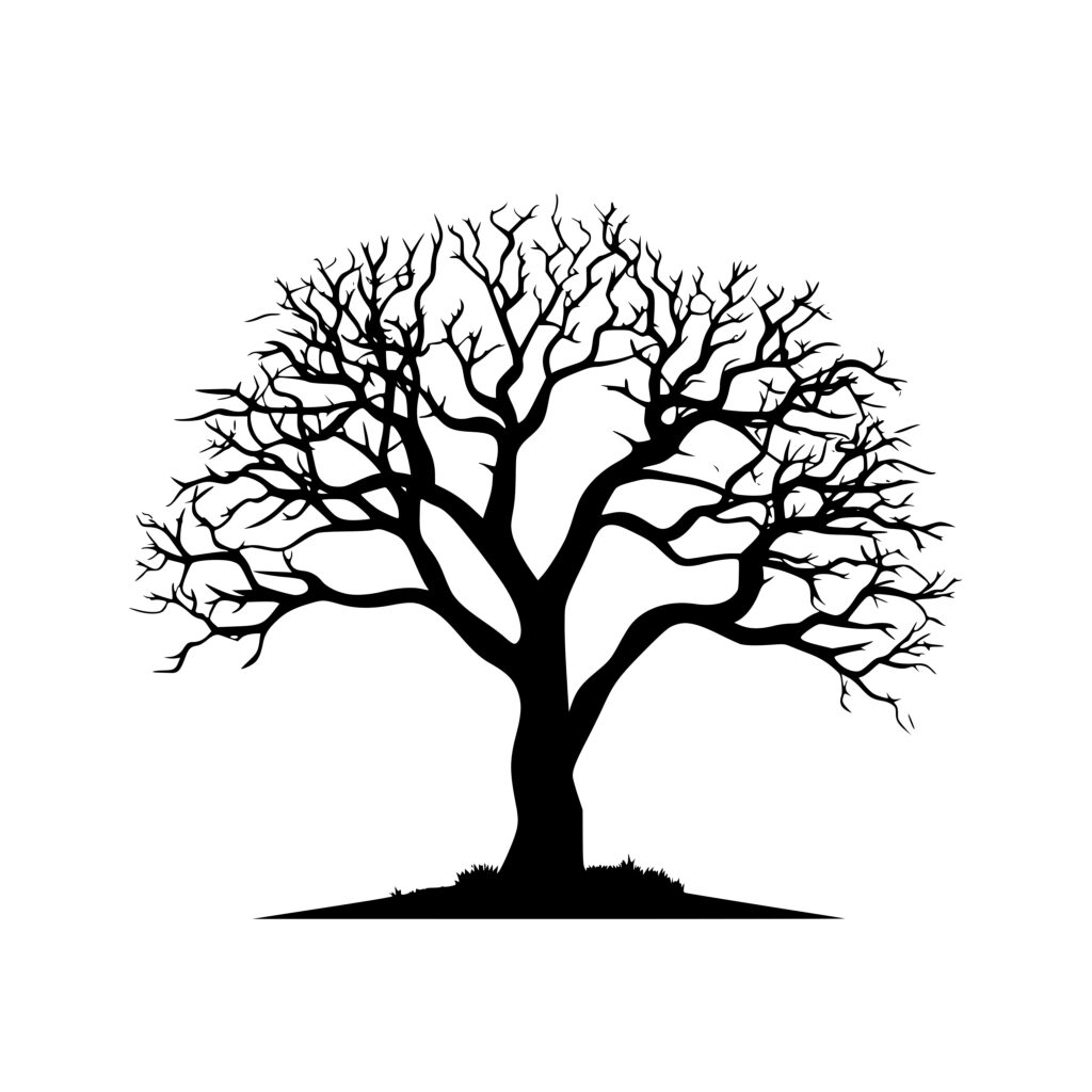 Bare Tree – Creative Meadow