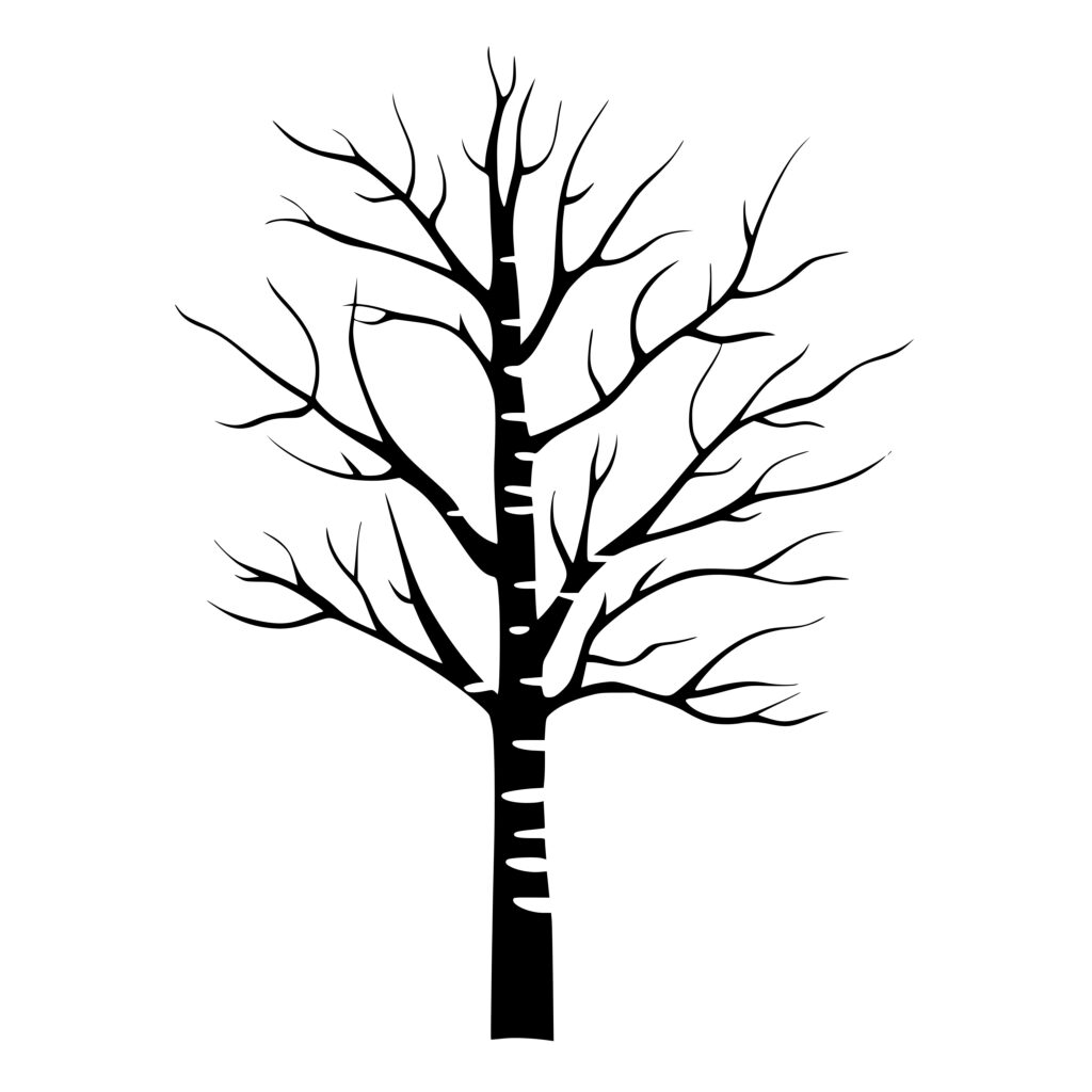Winter Tree – Creative Meadow