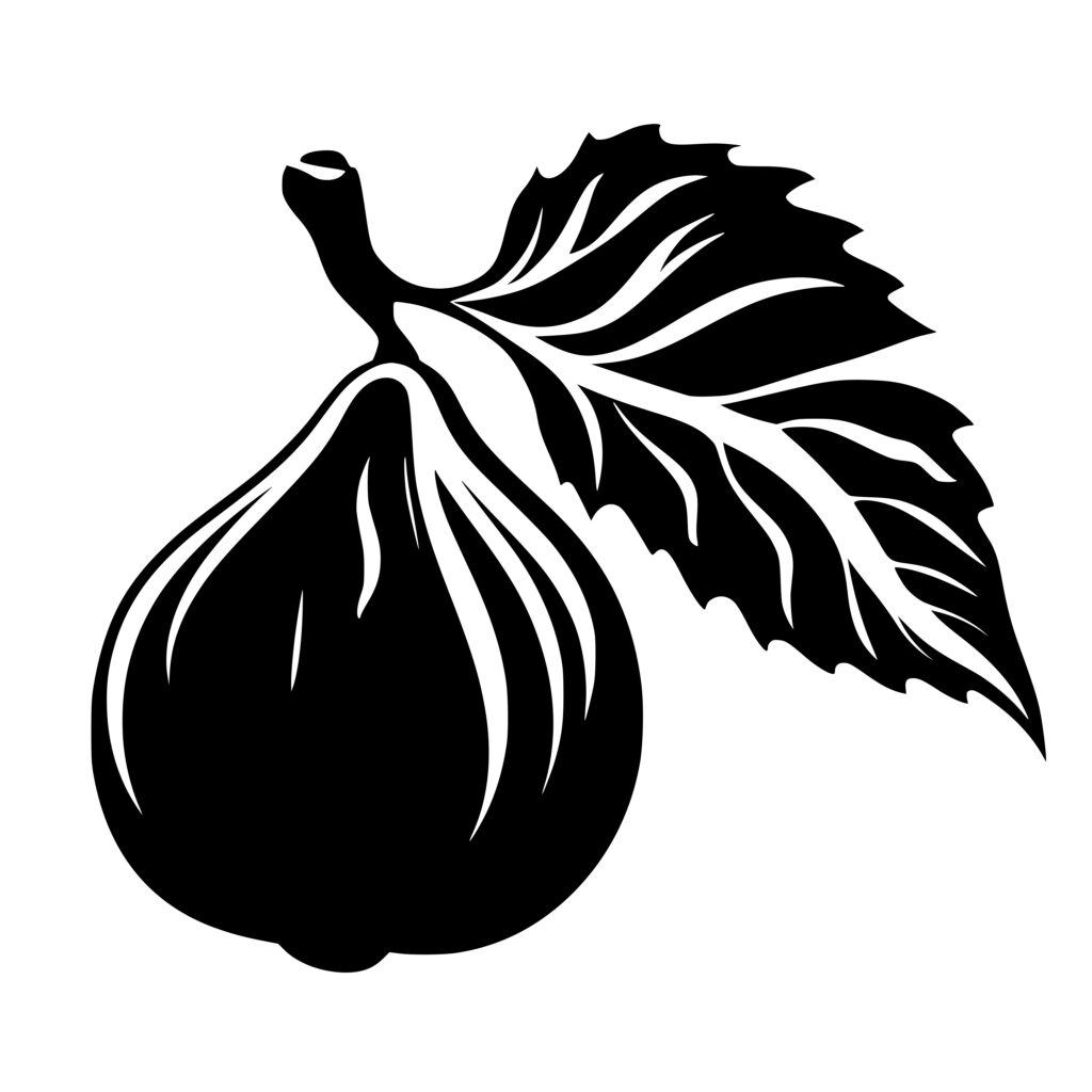 Fig Fruit – Creative Meadow