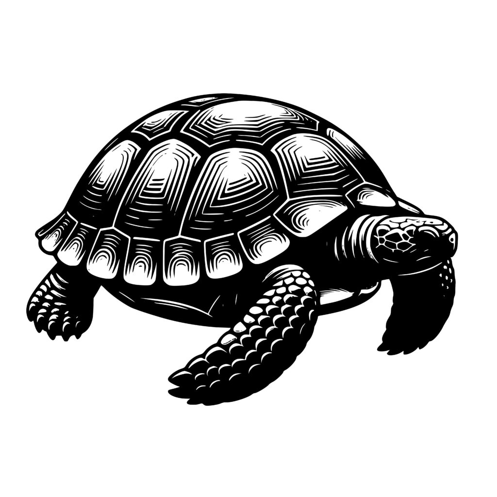 Beautiful Turtle SVG File for Cricut, Silhouette, and Laser Machines