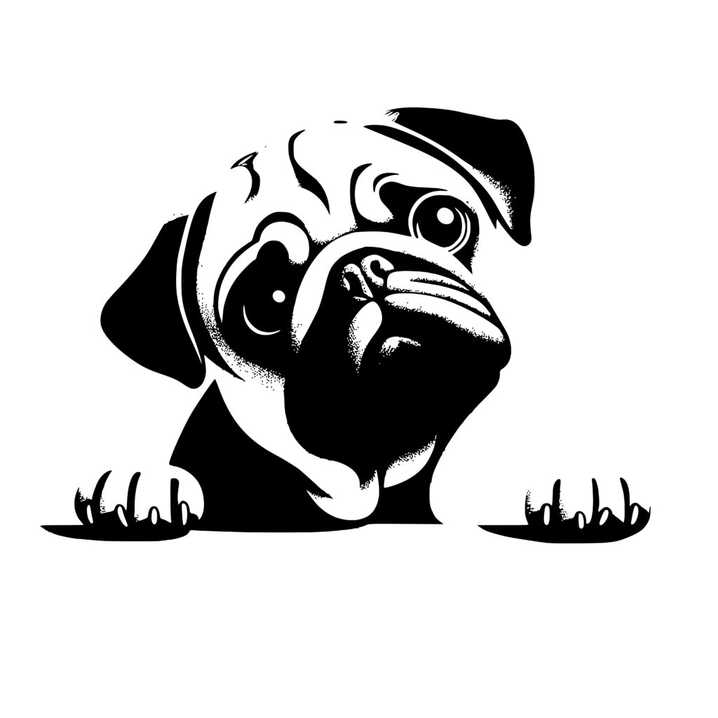 Curious Pug – Creative Meadow