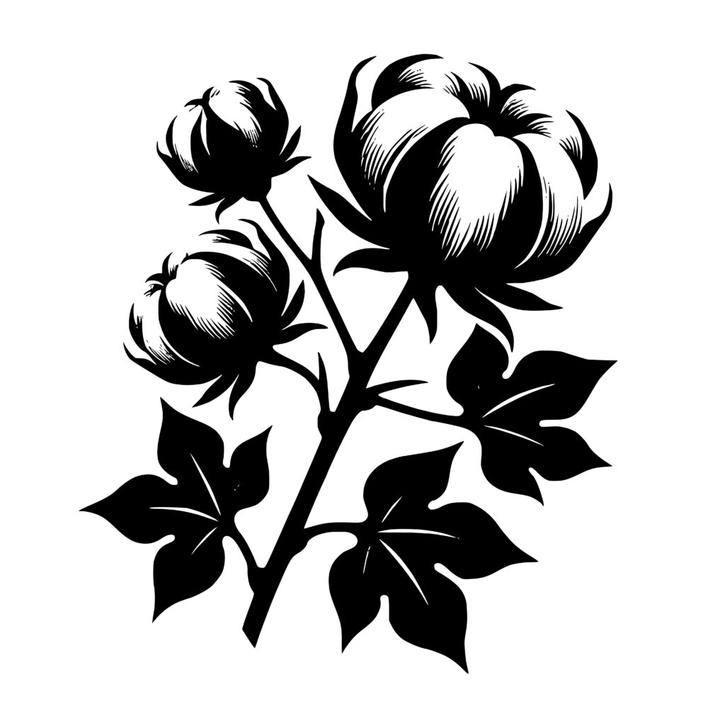 Cotton Plant Magic – Creative Meadow