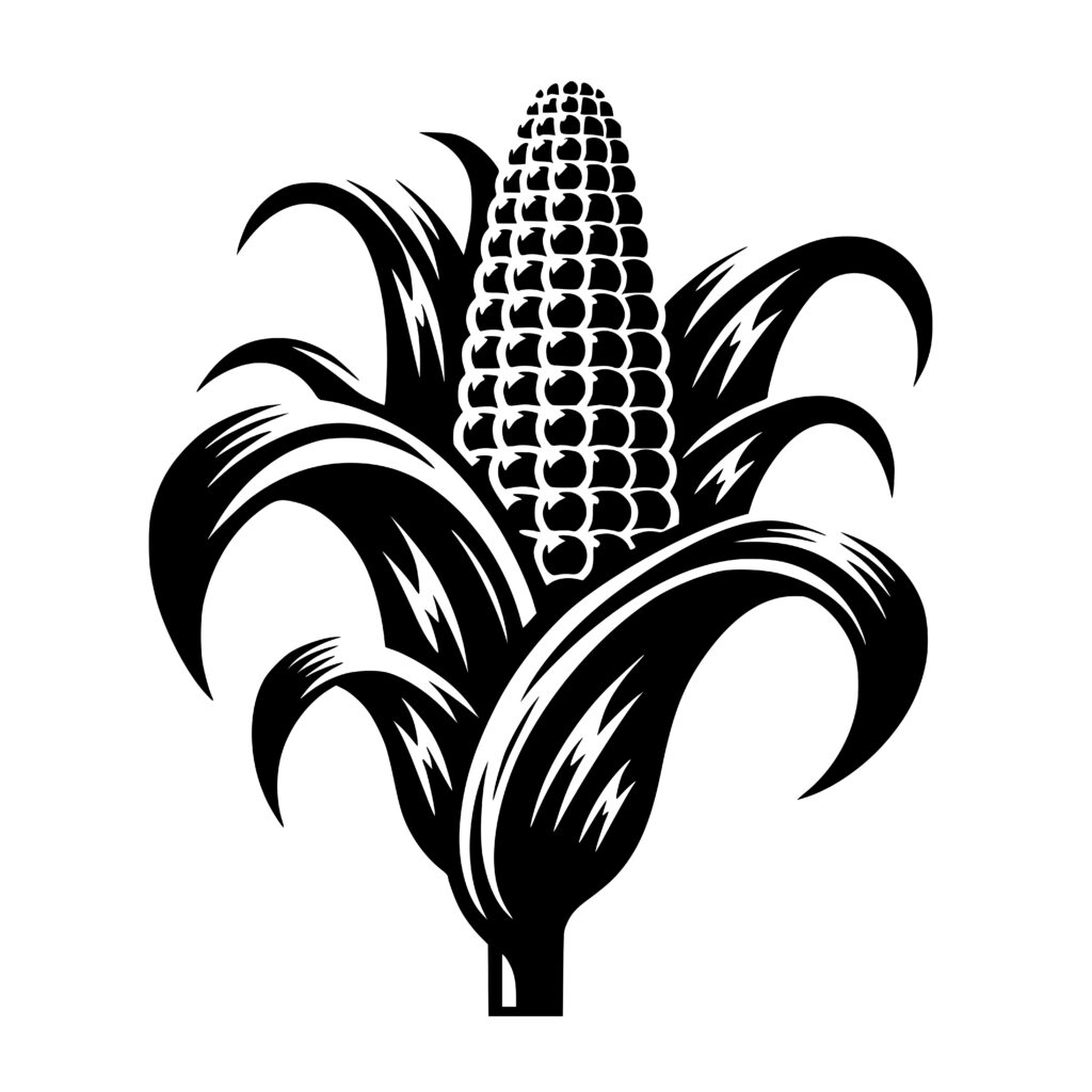 Corn Harvest SVG File: Instant Download for Cricut, Silhouette, Laser