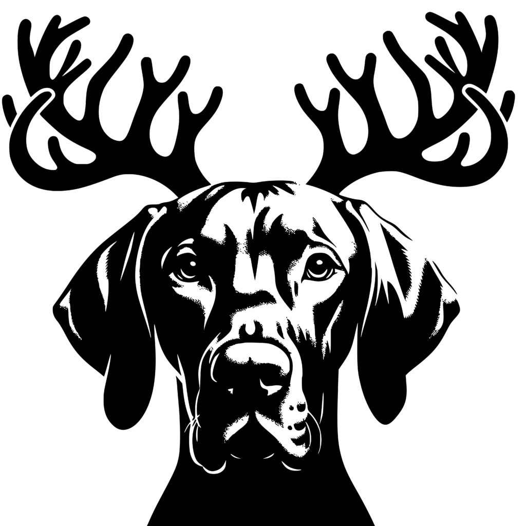 Vizsla Antlers – Creative Meadow