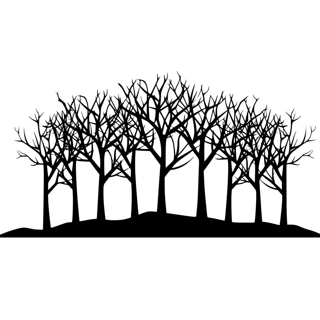 Winter Trees – Creative Meadow