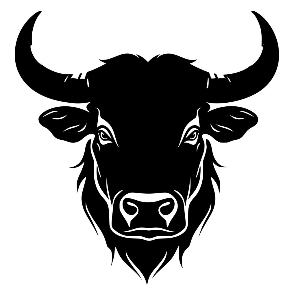 Bull Portrait – Creative Meadow