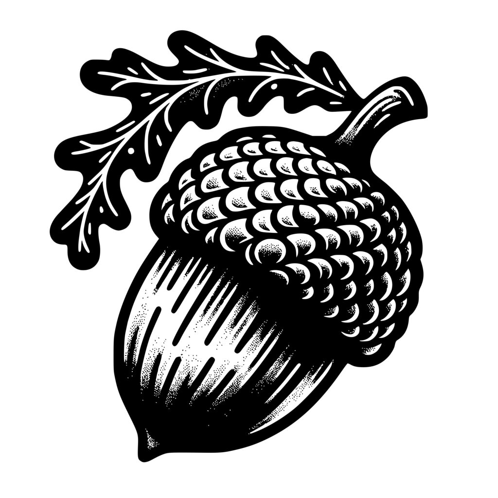 Textured Acorn – Creative Meadow