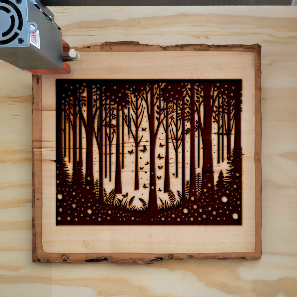 Enchanted Firefly Forest – Creative Meadow