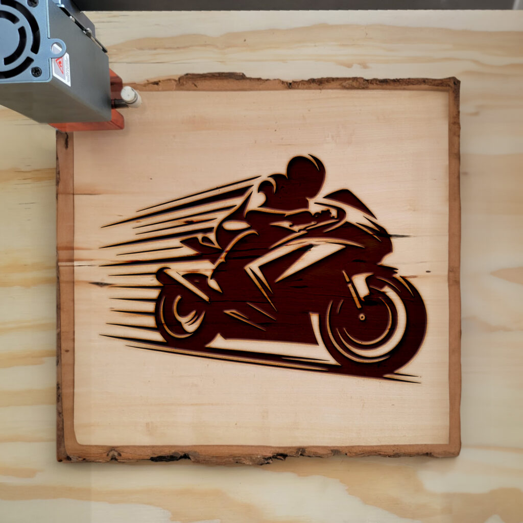 Speeding Freedom – Creative Meadow