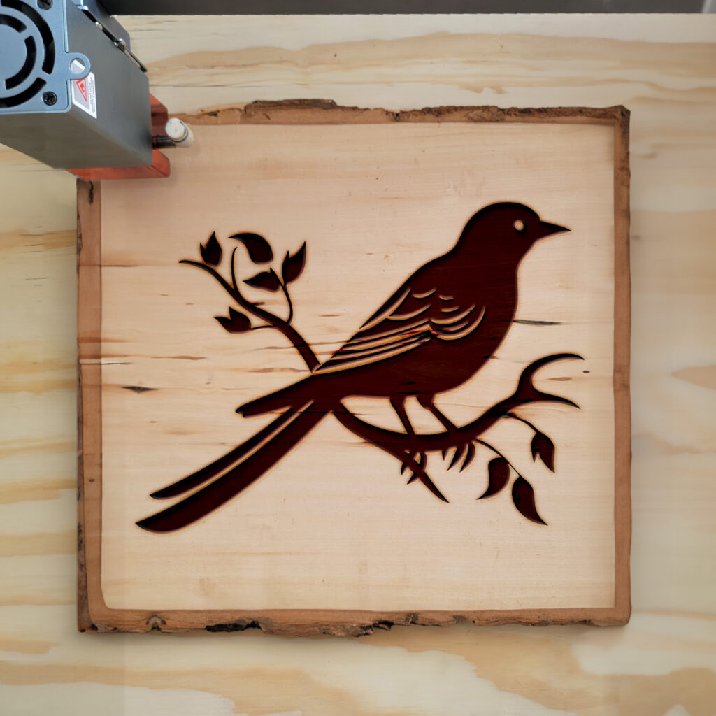 Bird Perch – Creative Meadow
