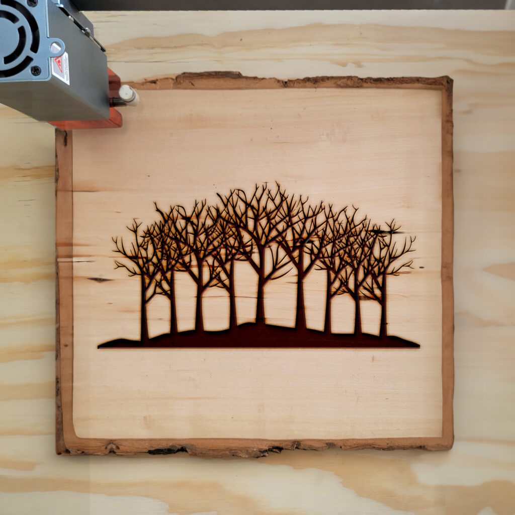 Winter Trees – Creative Meadow