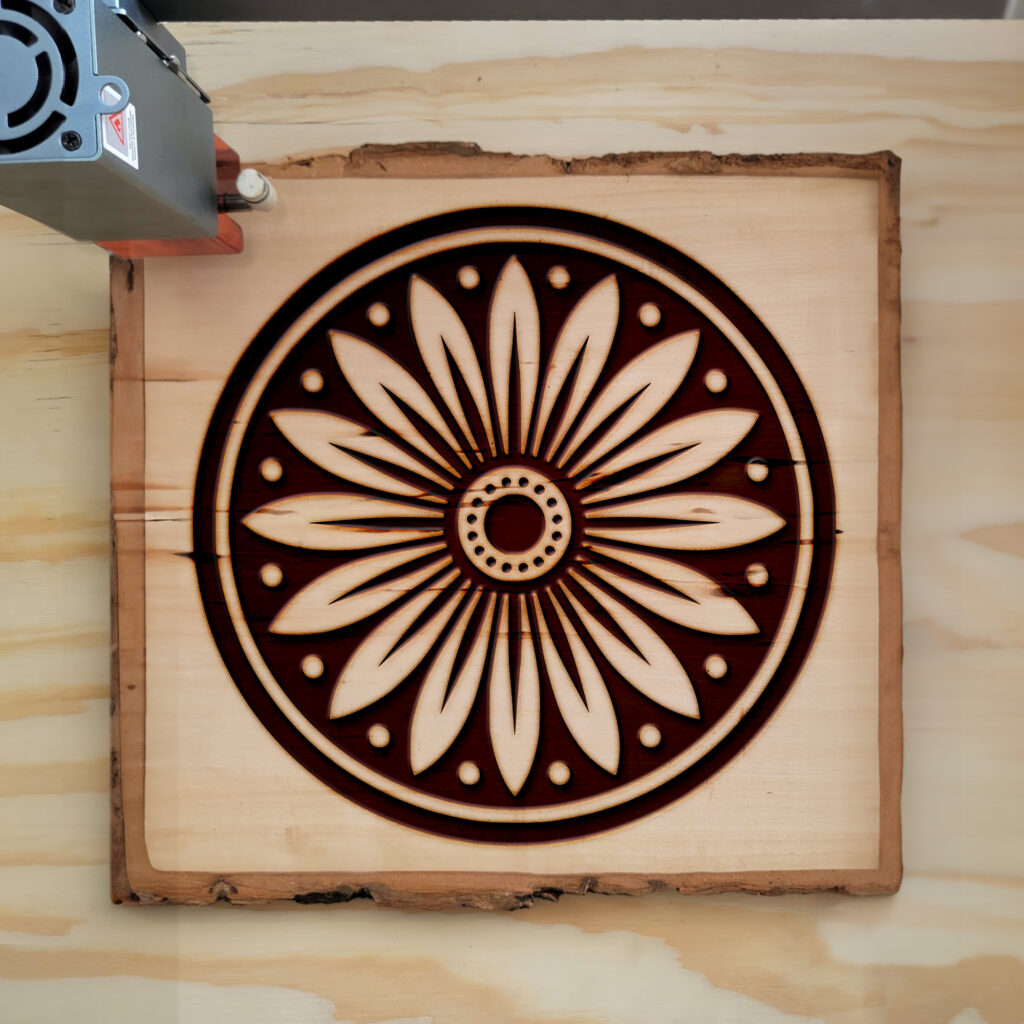 Radiant Daisy – Creative Meadow