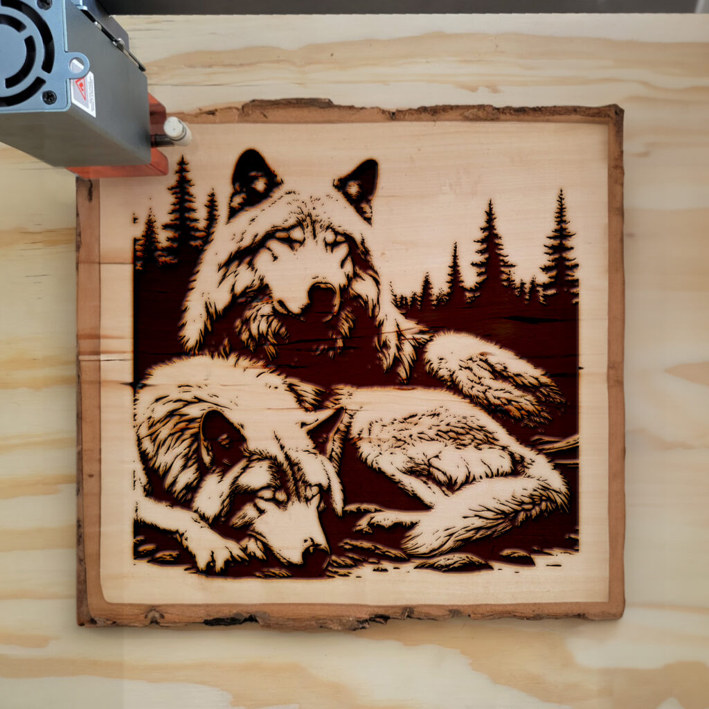 Vintage Wolves in Forest – Creative Meadow