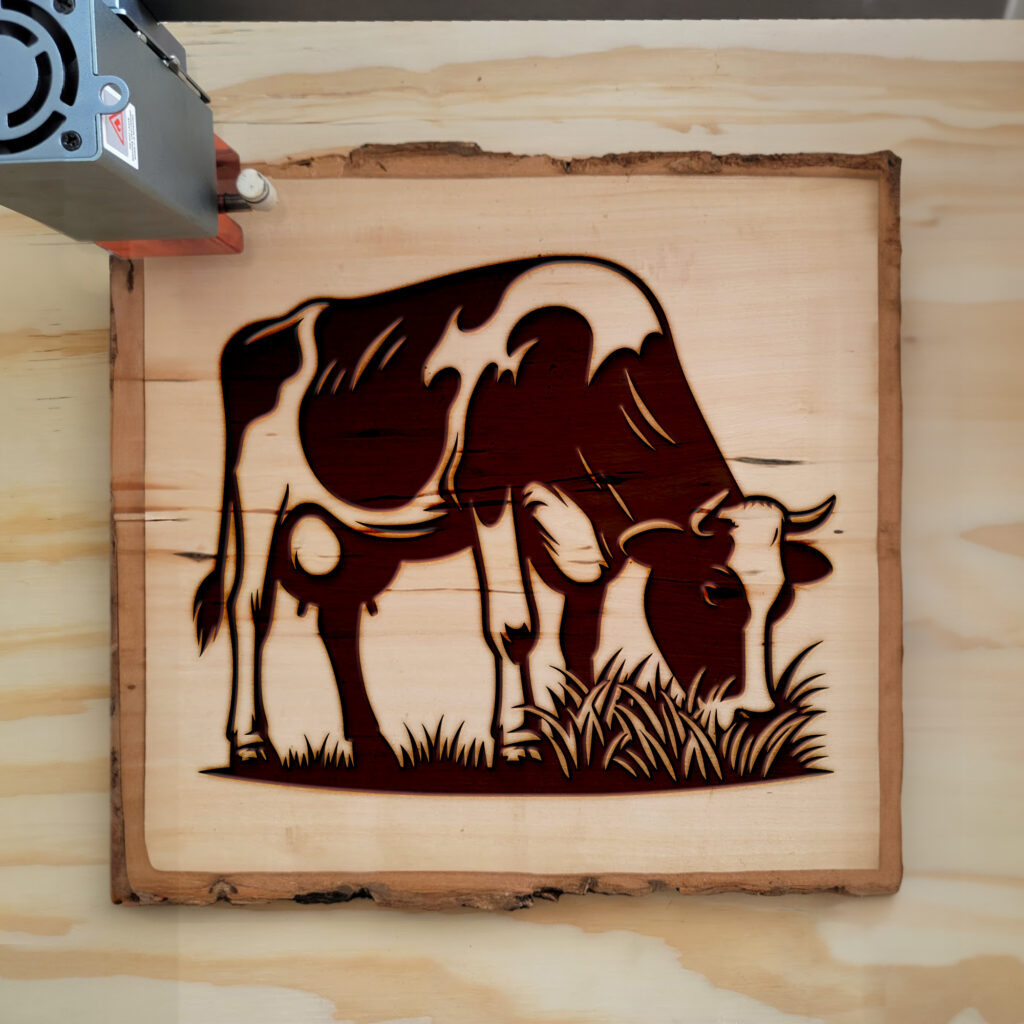 Cow in the Meadow – Creative Meadow