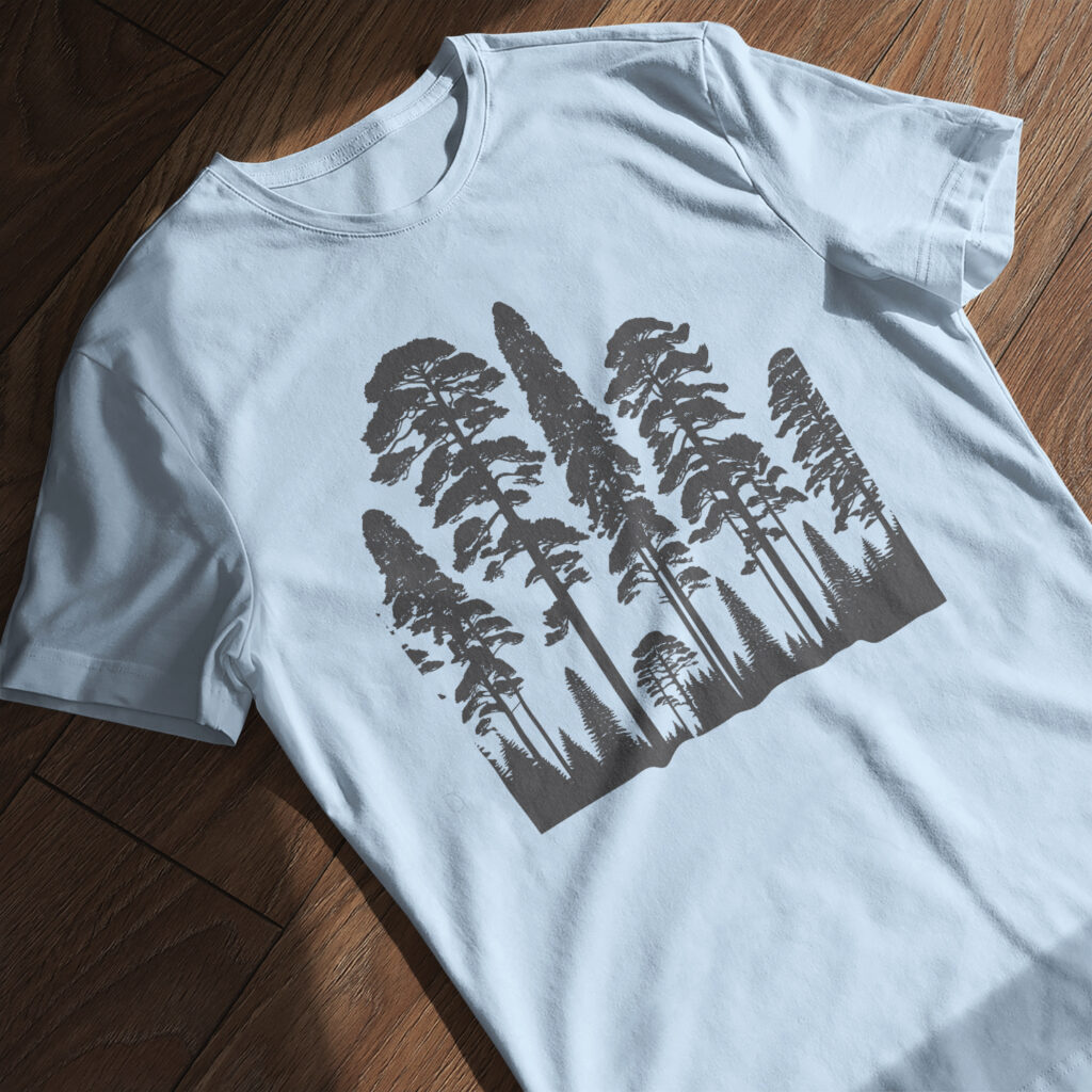 Pine Tree Shadows – Creative Meadow
