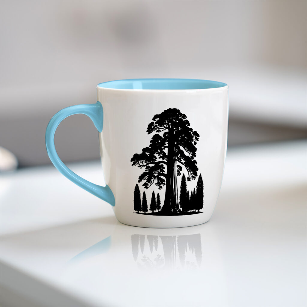 Redwood Forest Wonders – Creative Meadow