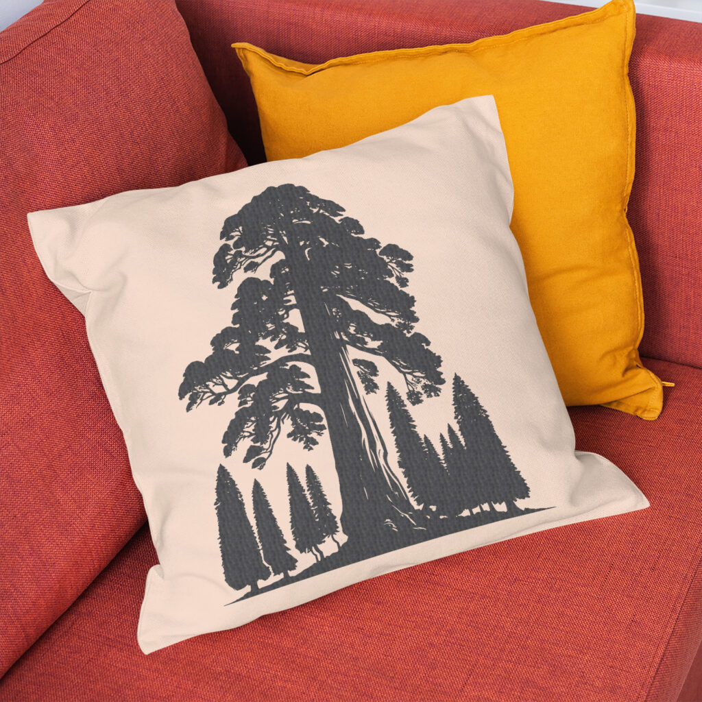 Redwood Forest Wonders – Creative Meadow