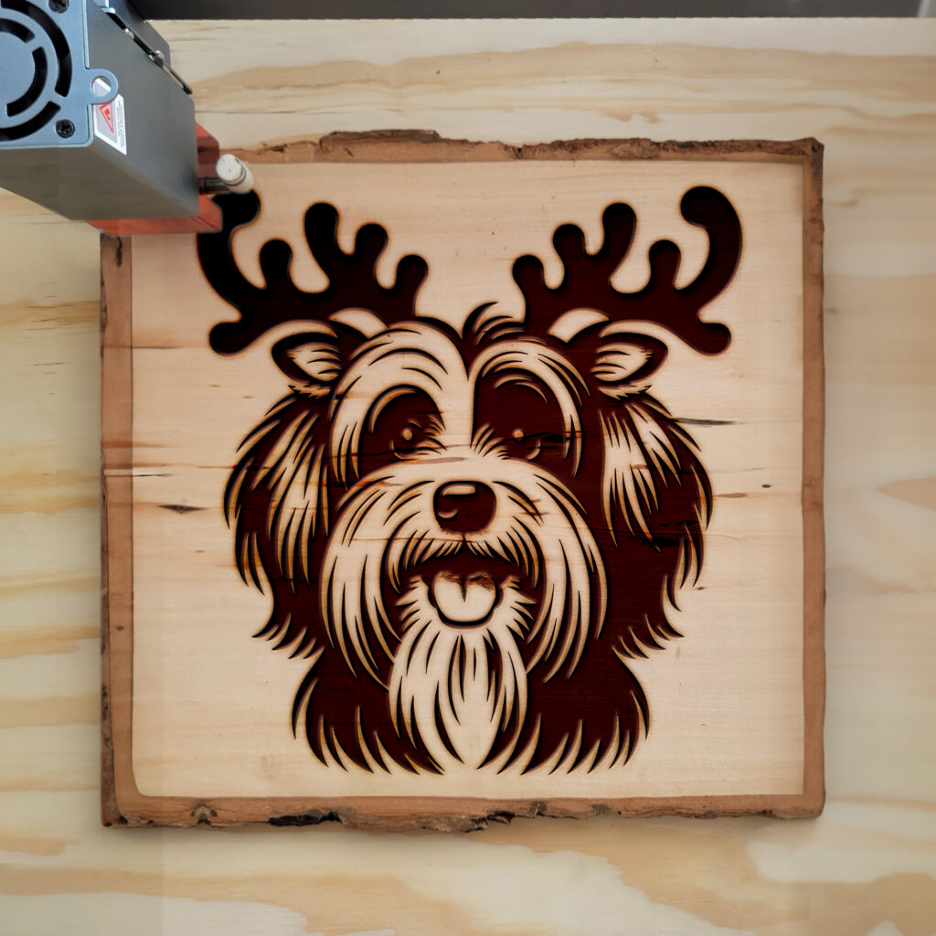 Havanese Antlers – Creative Meadow