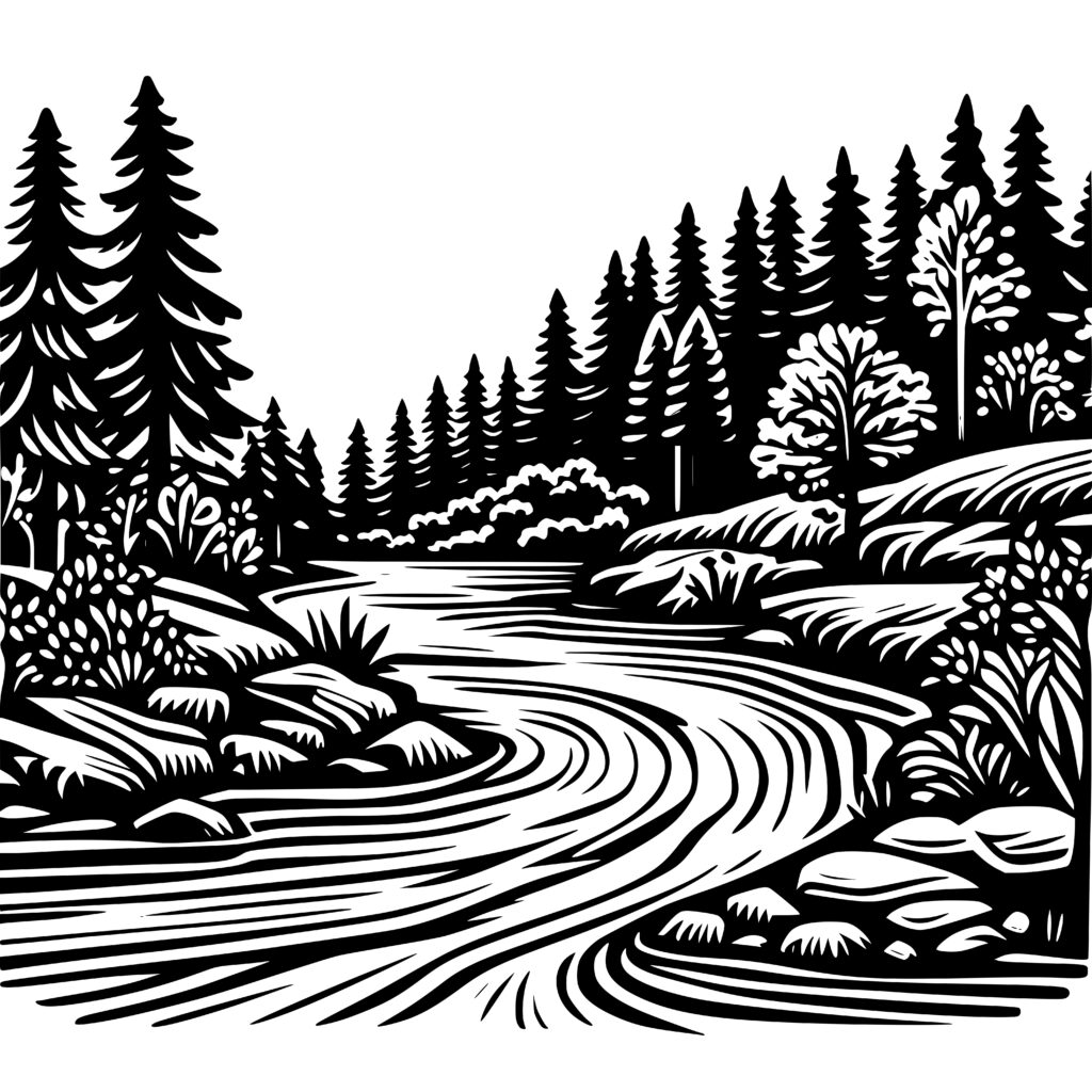 Nature’s Beauty – Creative Meadow