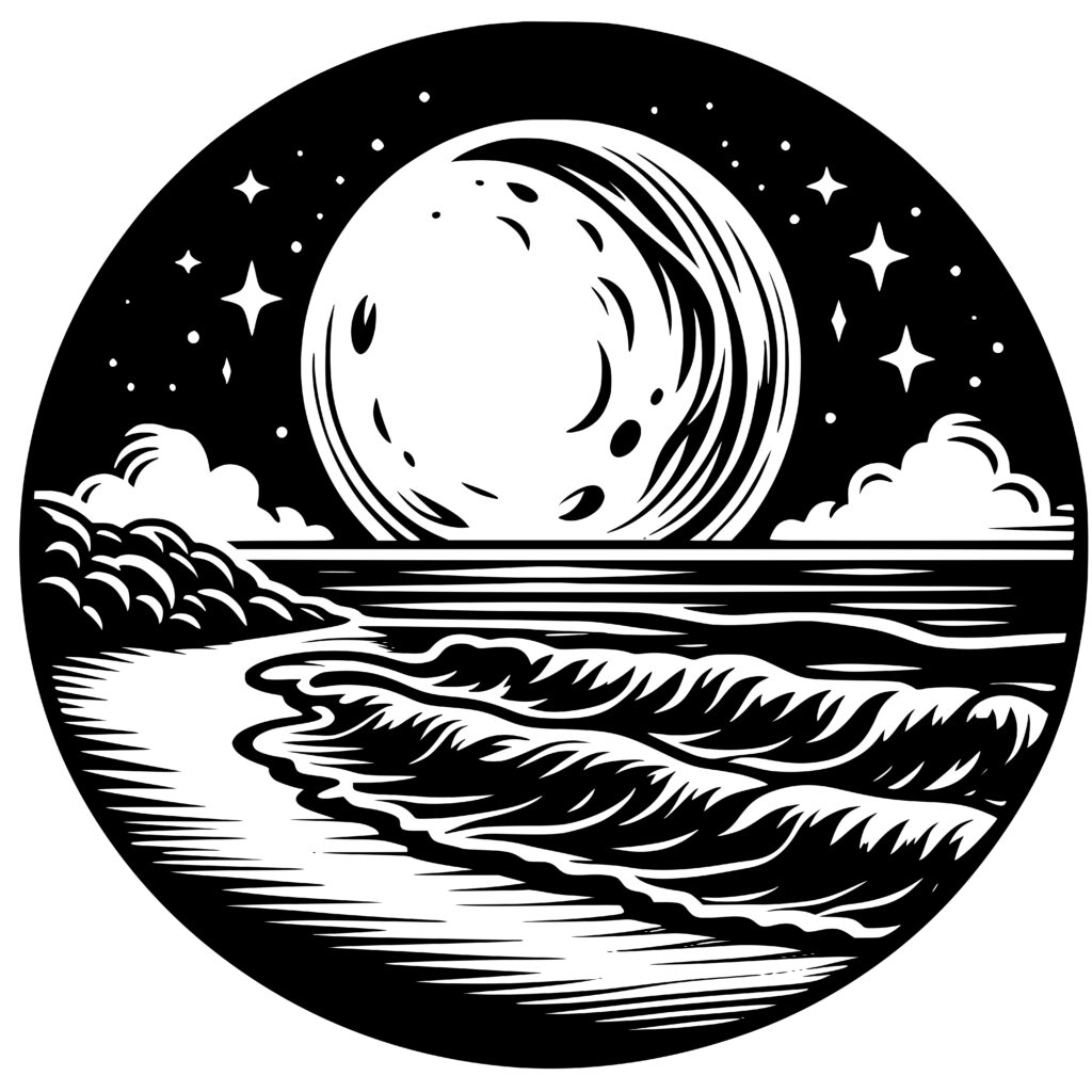 Moonlit Seas – Creative Meadow