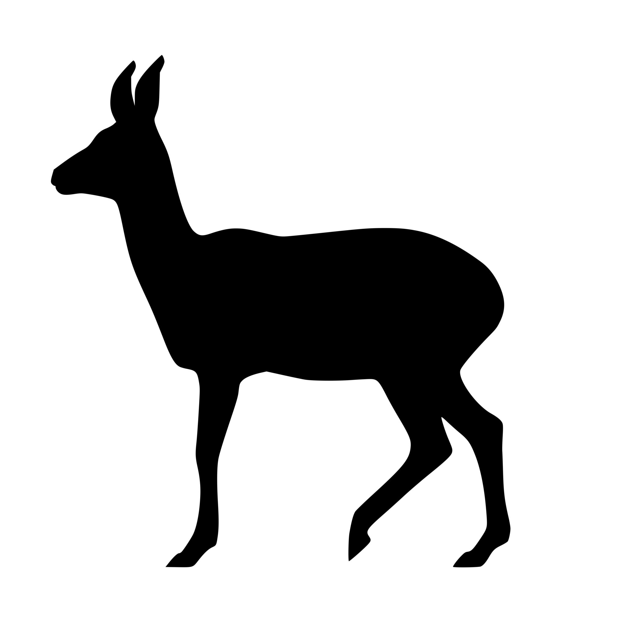 Wild Animals - Creative Meadow