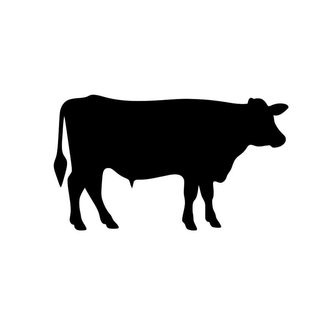 Cow Silhouette – Creative Meadow
