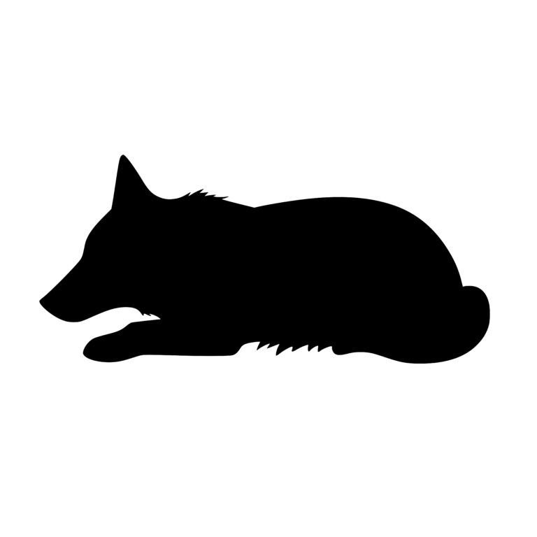 Shop - Creative Meadow