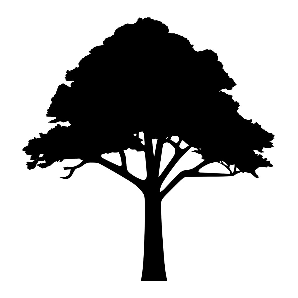 Majestic Oak Design: SVG, PNG, DXF for Cricut & Laser Use