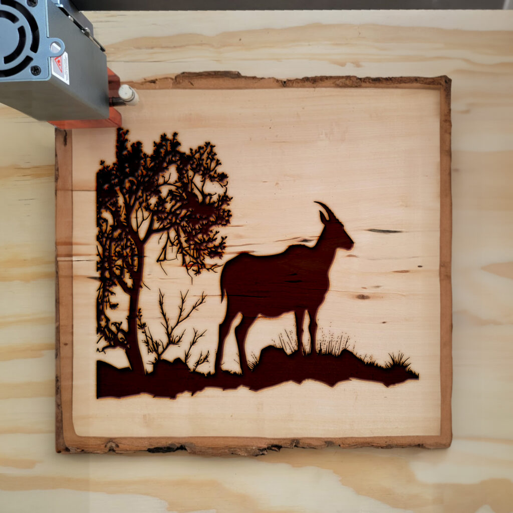 Goat Grazing – Creative Meadow