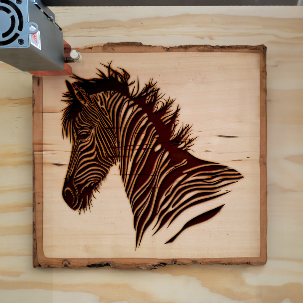 Majestic Zebra – Creative Meadow