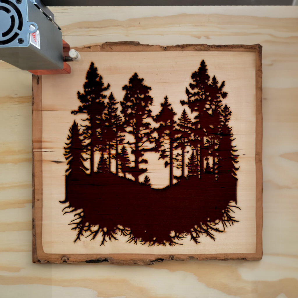 Beautiful Treeline – Creative Meadow