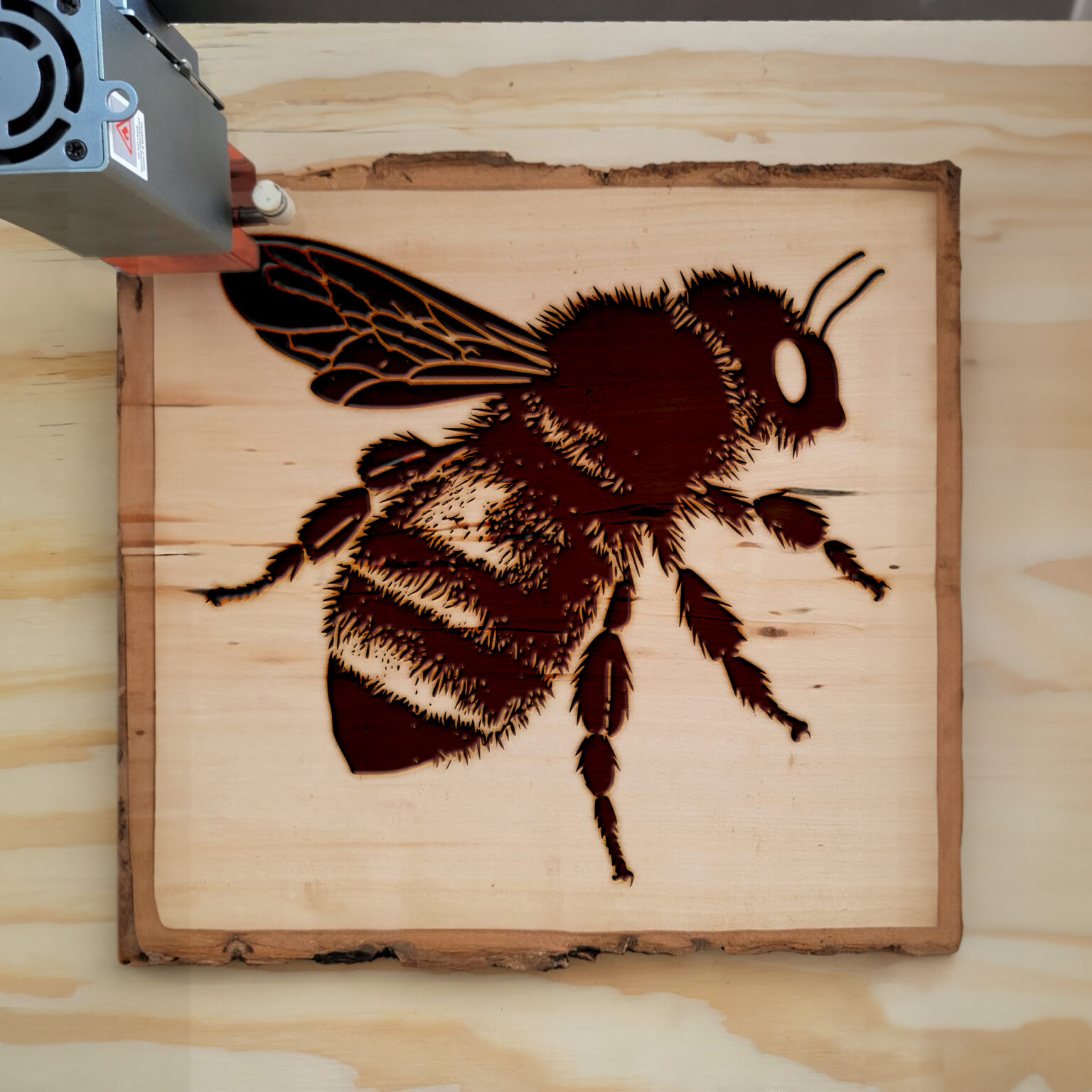 Realistic Bee – Creative Meadow