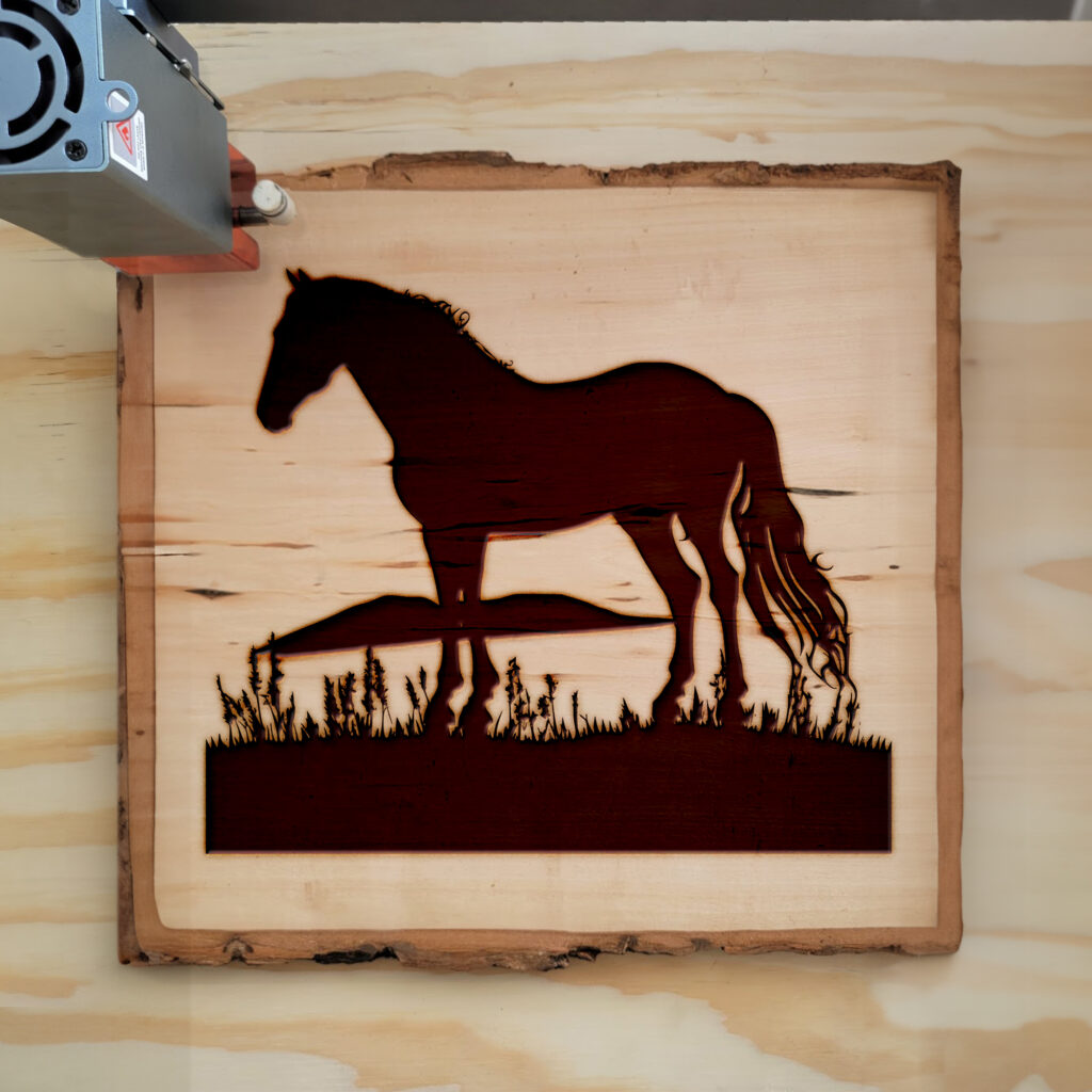 Horse Pasture – Creative Meadow