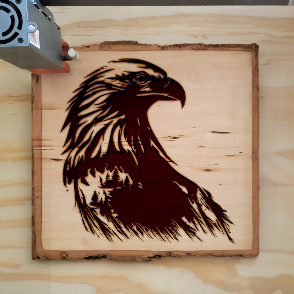 Eagle Vision – Creative Meadow
