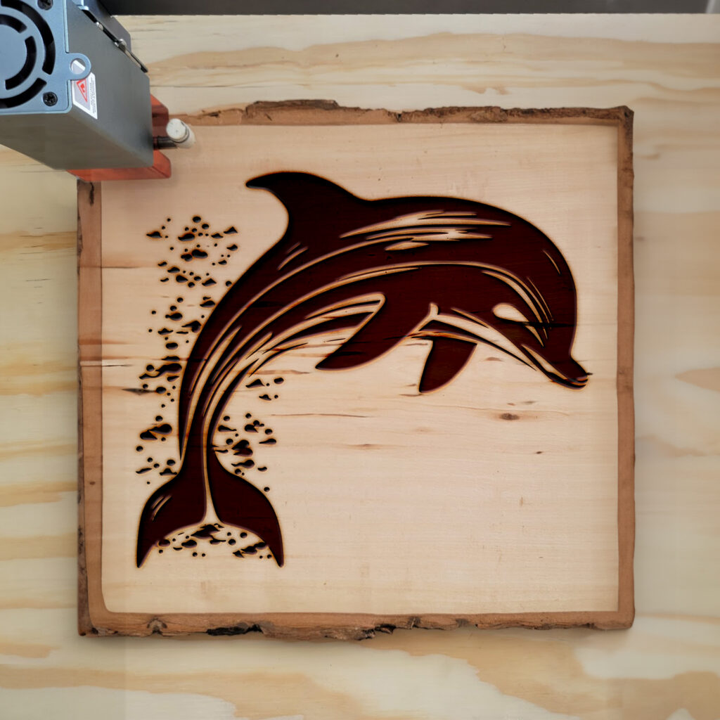 Gorgeous Dolphin – Creative Meadow