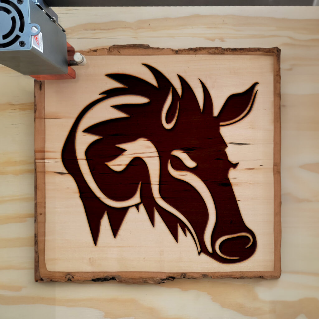 Warthog – Creative Meadow
