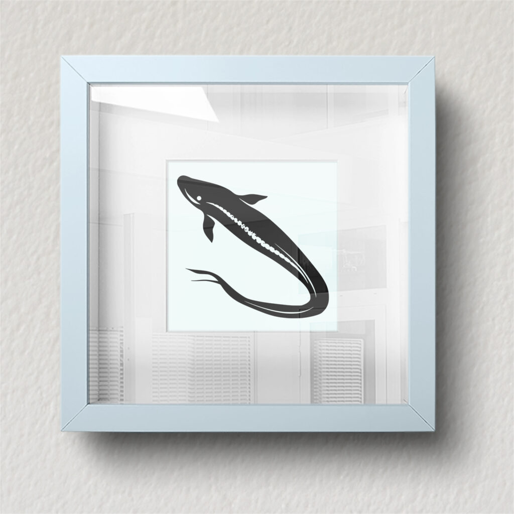 Electric Eel – Creative Meadow