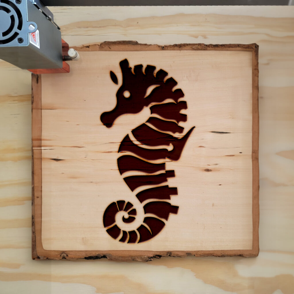 Striped Seahorse – Creative Meadow
